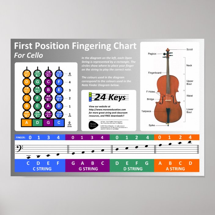 Cello Fingering Chart | Zazzle.com.au