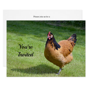 Chicken Birthday Invitations | Zazzle AU