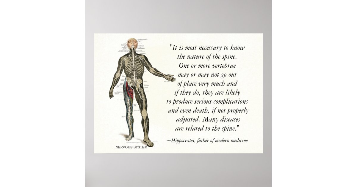 Chiropractic Health Quotes & Sayings Poster | Zazzle