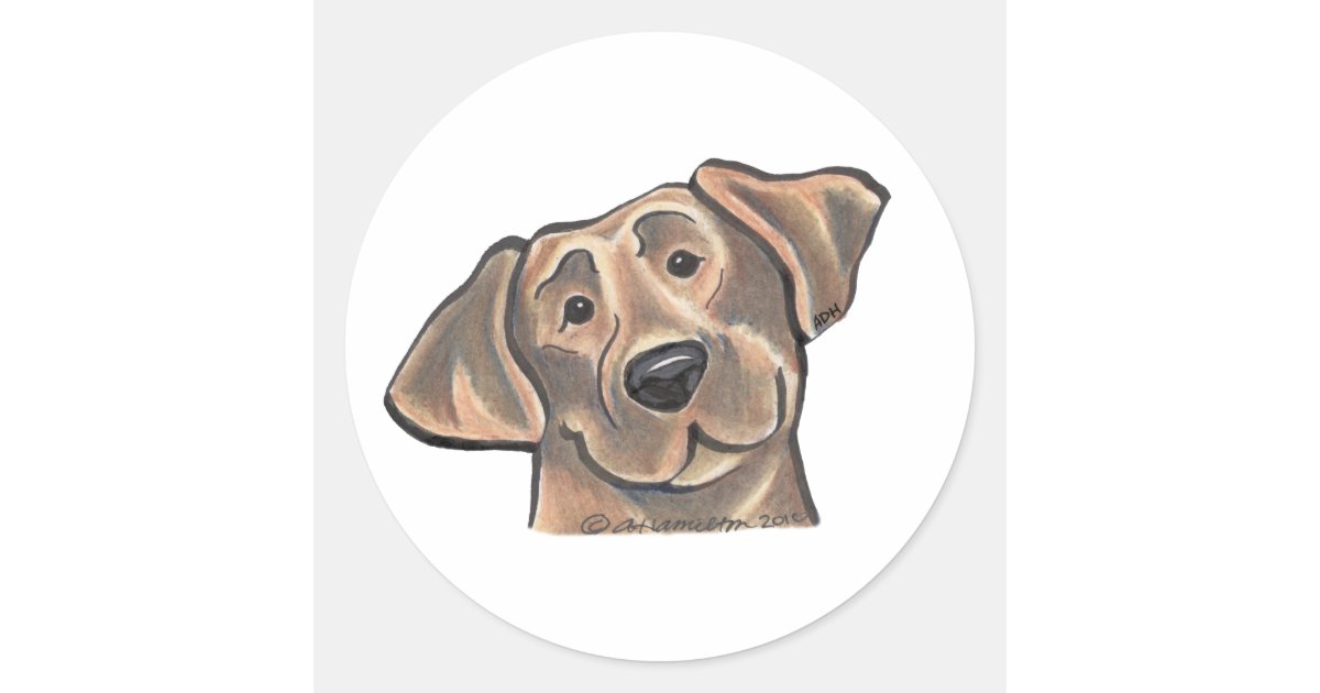 Chocolate Lab Face Classic Round Sticker | Zazzle