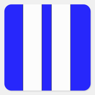 Racing Stripes Stickers | Zazzle AU
