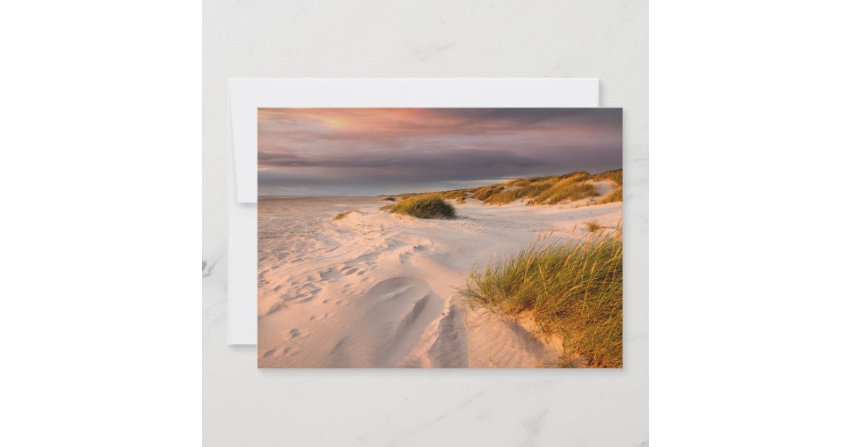 Coastline | Saltum Beach, Denmark Thank You Card | Zazzle