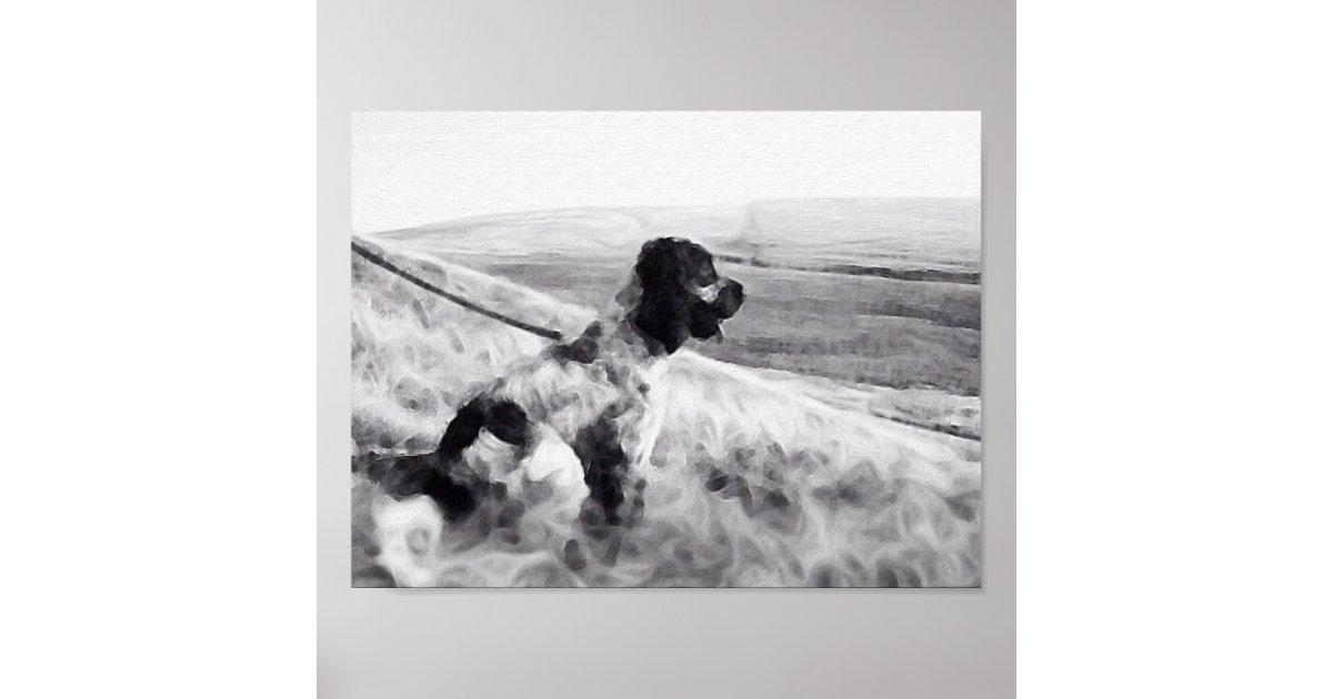 Cocker Spaniel Poster | Zazzle