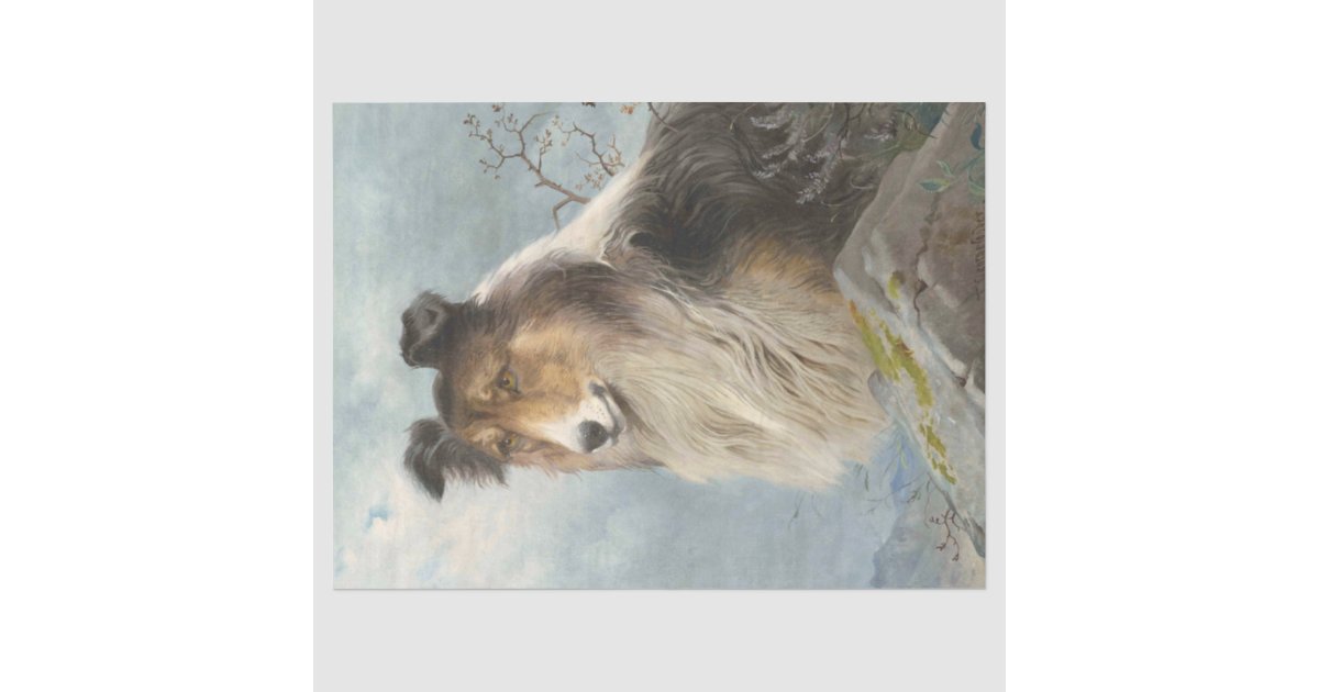 Collie Dog Decoupage Decoupaging Tissue Paper | Zazzle