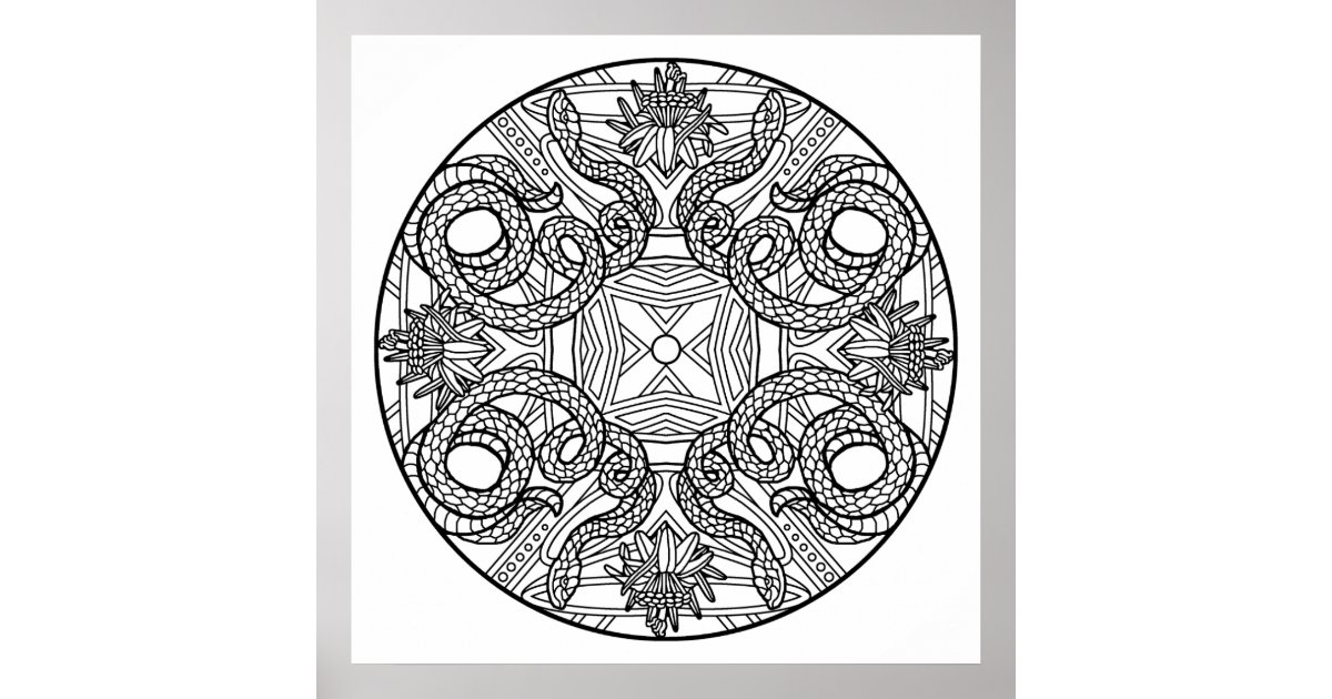 Colour Your Own Snakes Mandala Colouring Poster | Zazzle