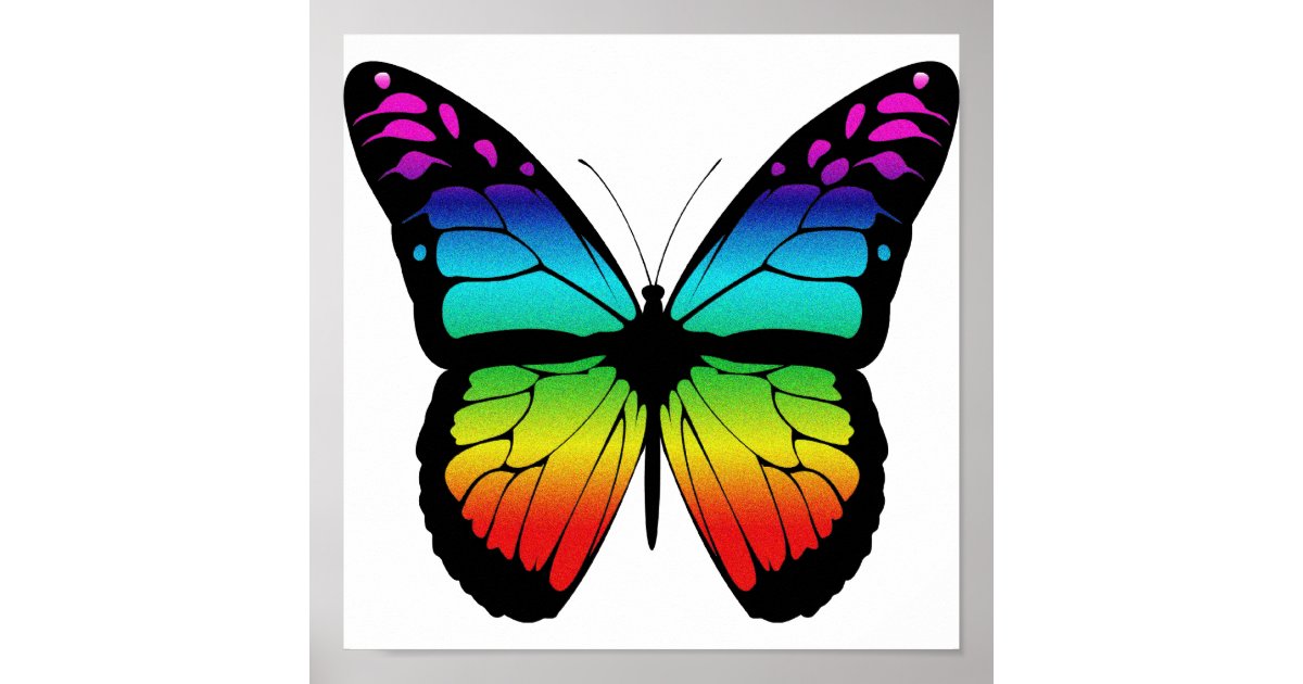 Colourful Butterfly Poster | Zazzle
