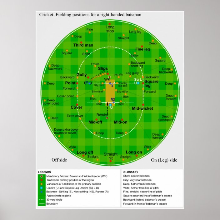 Complete Diagram of Cricket Fielding Positions Poster | Zazzle