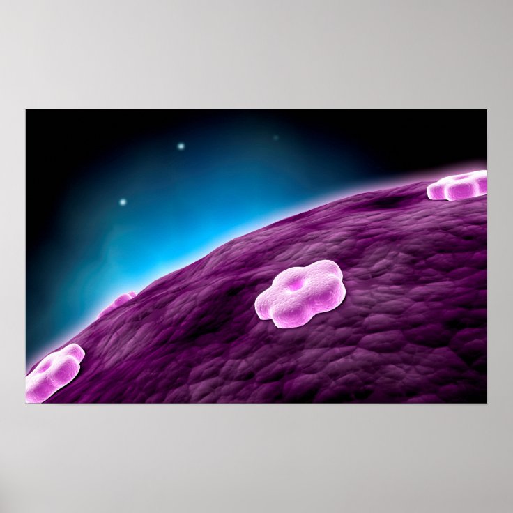 Conceptual Image Of Cell Nucleus Poster | Zazzle