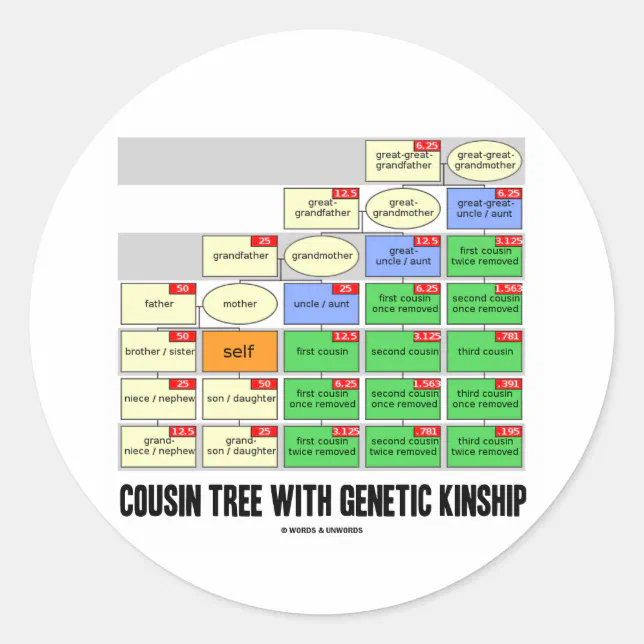 Cousin Tree With Genetic Kinship (Genealogy) Classic Round Sticker | Zazzle