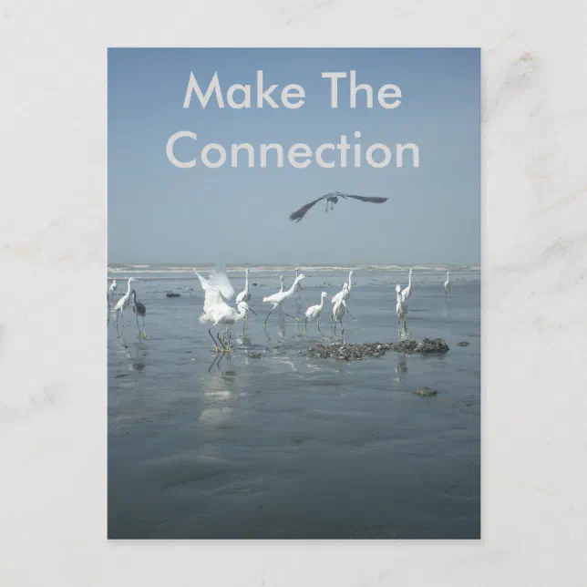 Create Your Own Make The Connection Postcard | Zazzle