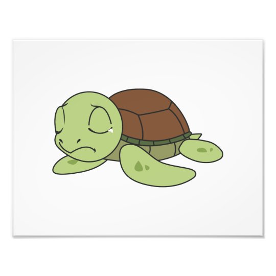 Crying Cute Baby Turtle Tortoise Greeting Card Photo Print | Zazzle.com.au