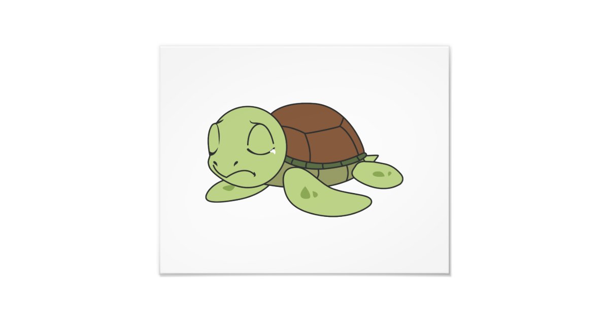 Crying Cute Baby Turtle Tortoise Greeting Card Photo Print | Zazzle