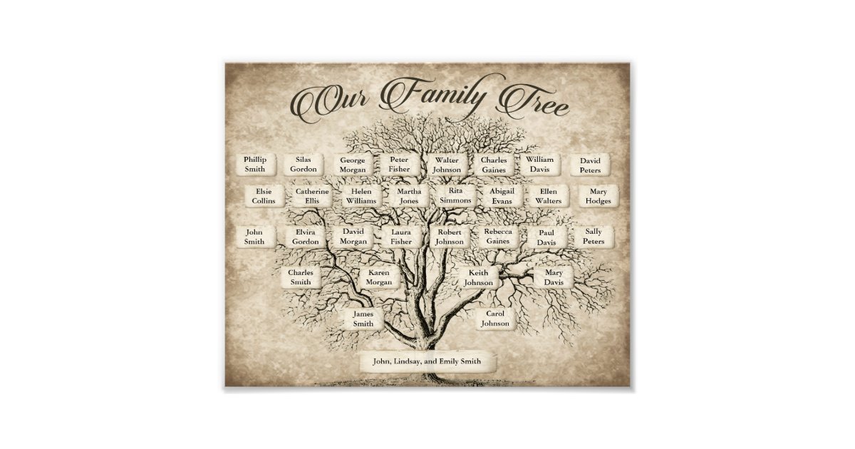 Custom 5 Generation Family Tree Chart Template Photo Print | Zazzle