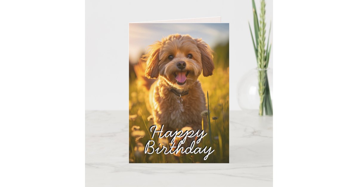 Custom Cavoodle/Cavapoo Happy Birthday Card | Zazzle