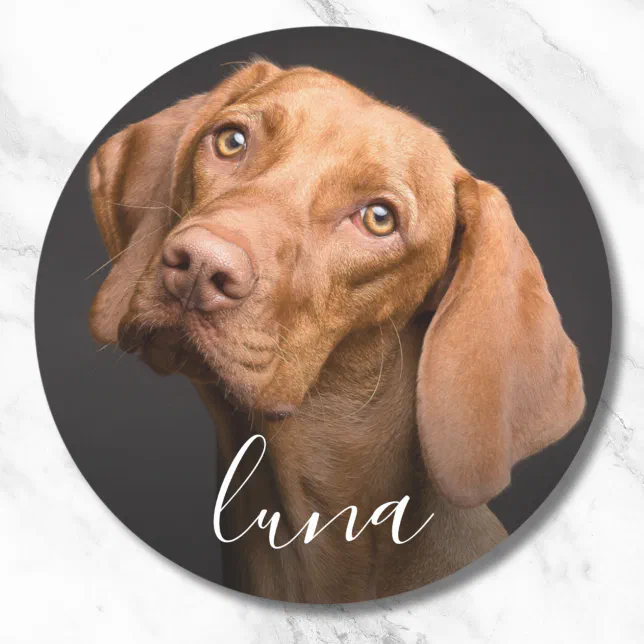 Custom Photo Personalised Pet Name Classic Round Sticker | Zazzle