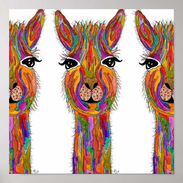 Llama Art & Wall Décor | Zazzle.com.au
