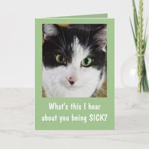 Funny Cat Get Well Cards - Well Wishes Cards | Zazzle.com.au