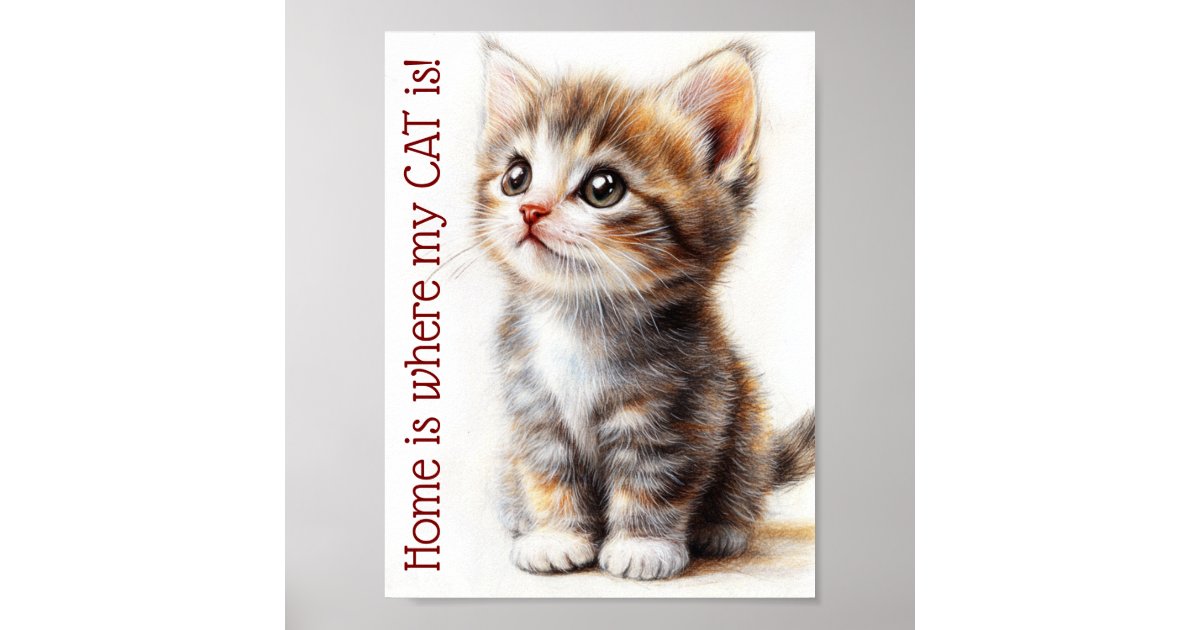 Cute Custom Kitten Wall Decoration, Kitty Cat Poster | Zazzle