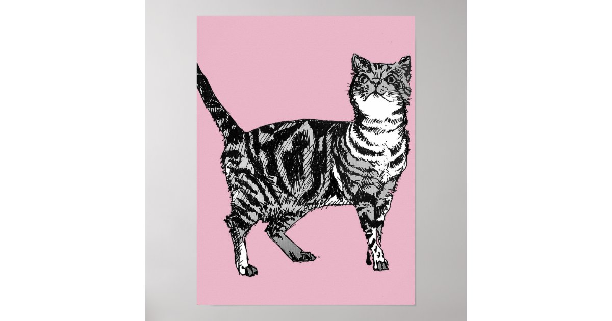 Cute Pink Striped Tabby Cat Cats Poster Art | Zazzle