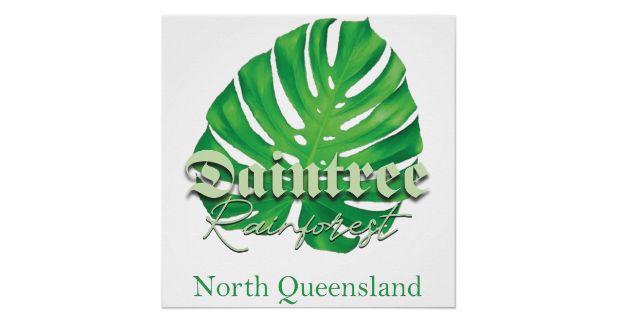 Daintree Rainforest Poster | Zazzle