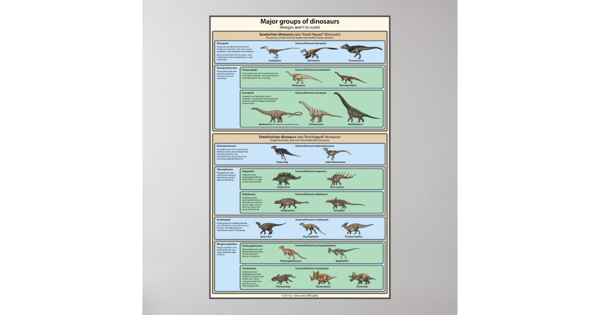 Dinosaur Classification Simplified Poster | Zazzle