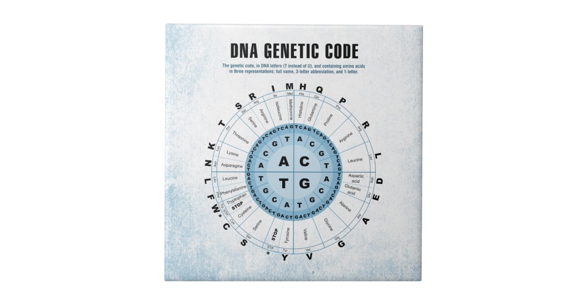 DNA Genetic Code Chart Ceramic Tile | Zazzle