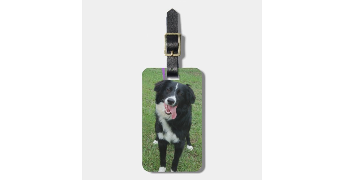 Dog Photo Luggage Tag | Zazzle