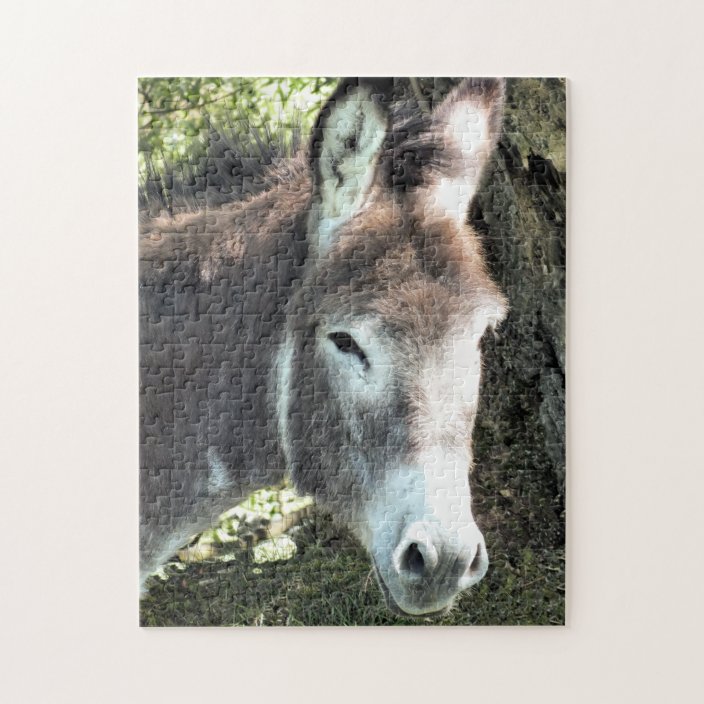 DONKEY JIGSAW PUZZLE | Zazzle.com.au