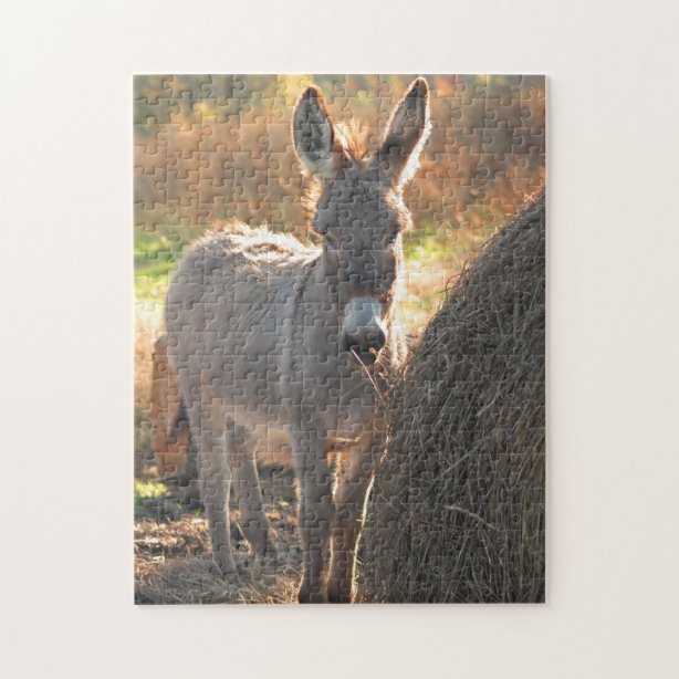 Donkey Jigsaw Puzzles | Zazzle.com.au