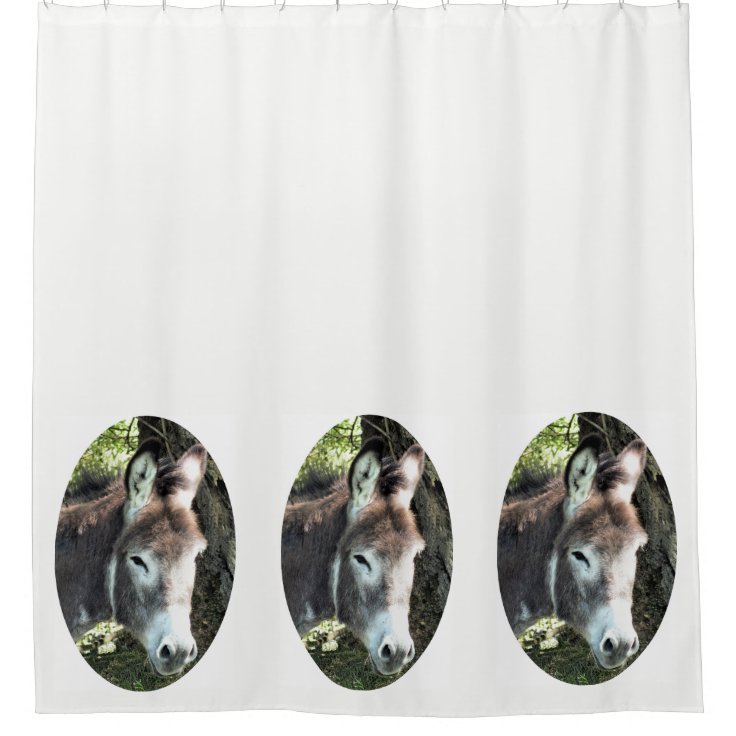 DONKEY SHOWER CURTAIN | Zazzle