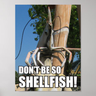 Shellfish Posters & Photo Prints | Zazzle AU