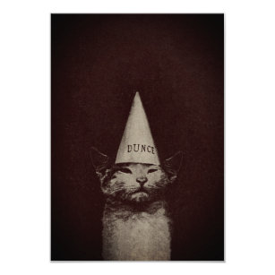 Cat Wedding Invitations | Zazzle.com.au