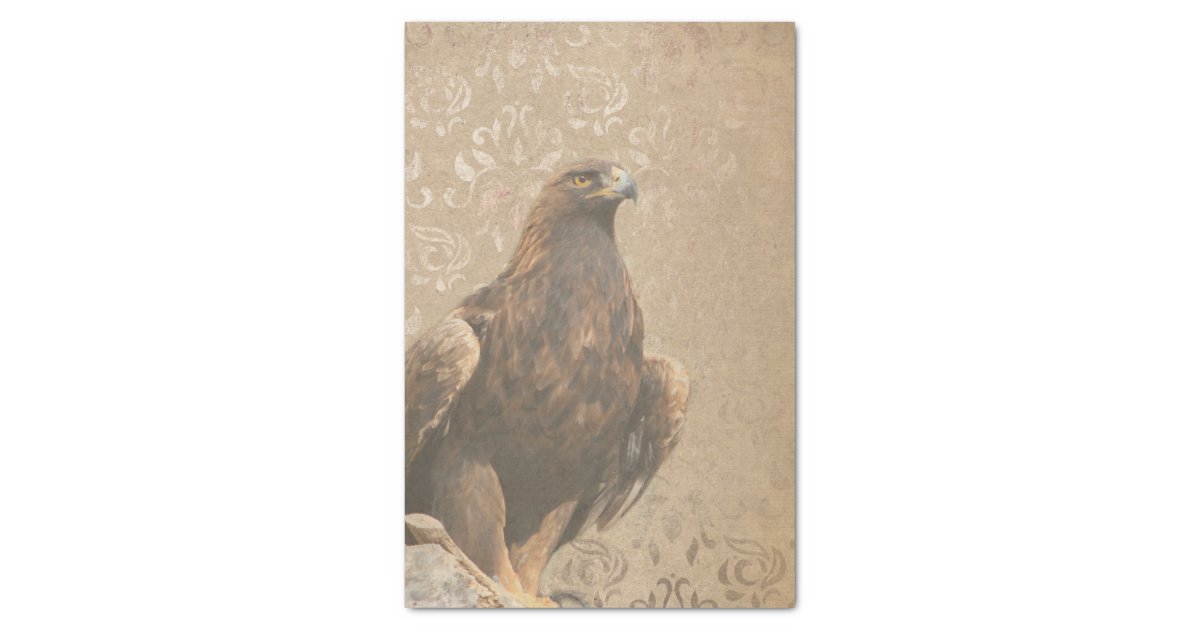 Eagle Artwork Decoupage Tissue Paper | Zazzle