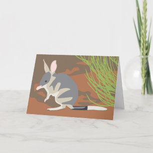 Cute Easter Cards | Zazzle.com.au
