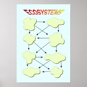Ecosystem Posters & Photo Prints | Zazzle AU