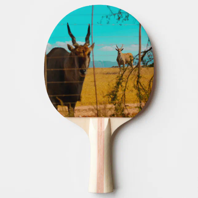 Eland Antelope Animal South Africa ZA Ping Pong Paddle | Zazzle