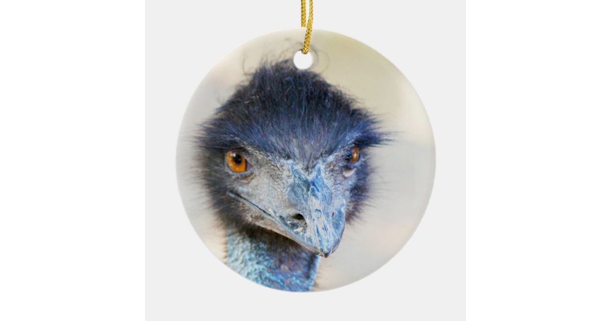 Emu Ceramic Ornament | Zazzle