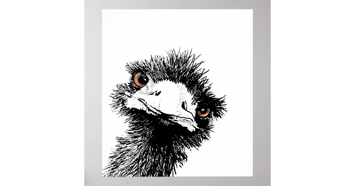 Emu – Pen and Ink Poster | Zazzle
