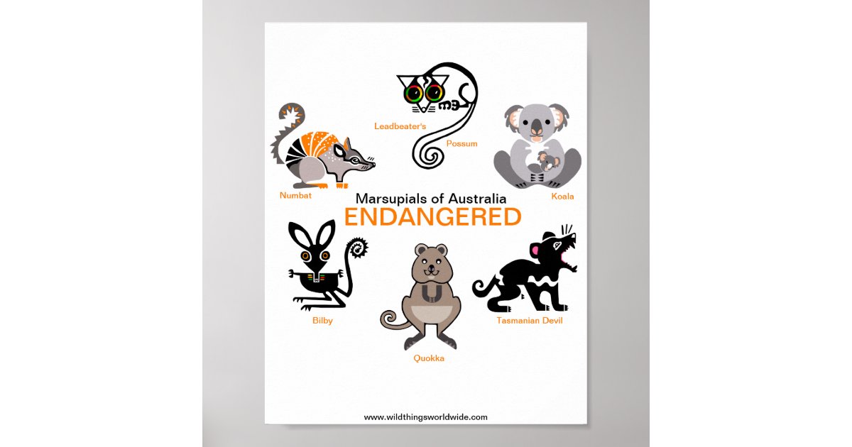 Endangered Australian animals -MARSUPIALS - Poster | Zazzle