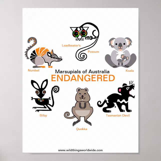 Endangered Australian animals -MARSUPIALS - Poster | Zazzle