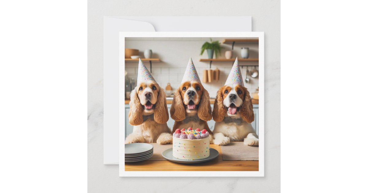 English Cocker Spaniel card, Spaniel birthday Invitation | Zazzle