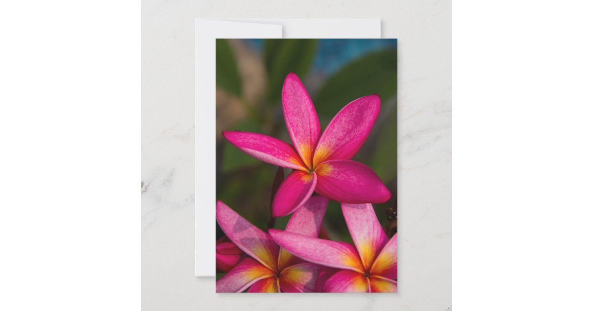 Exotic flower background plumeria invitation | Zazzle