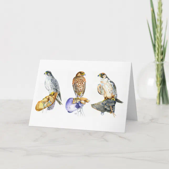 Falconry/hawking Studies Birthday Card | Zazzle