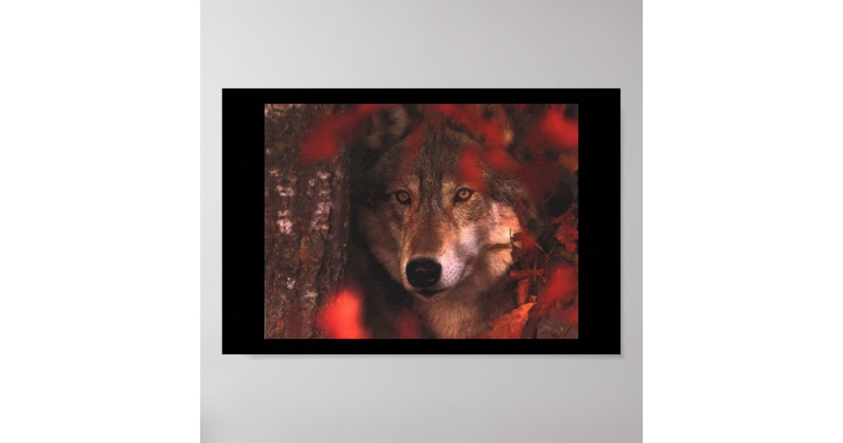 Fall wolf poster | Zazzle