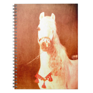 Circus Notebooks | Zazzle.com.au