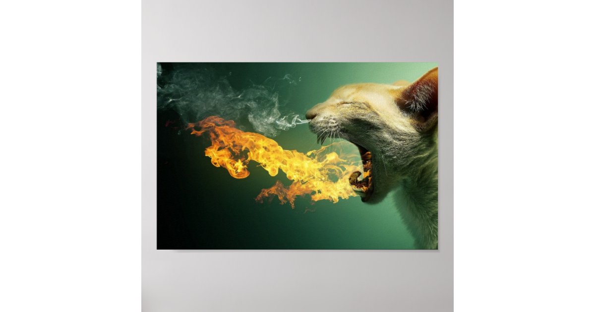 Fire Breathing Cat Poster | Zazzle