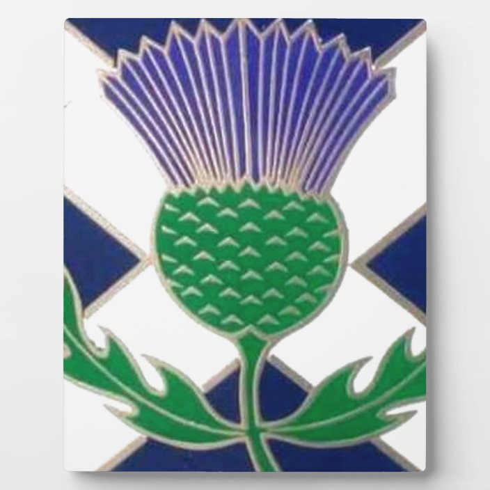 Flag of Scotland and Thistle Plaque | Zazzle.com.au