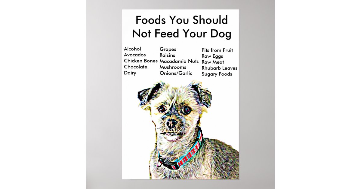 foods-you-should-not-feed-your-dog-poster-zazzle