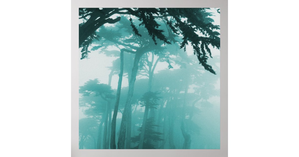 Forrest Fog photo painting Poster | Zazzle