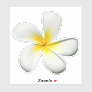 Frangipani Stickers | Zazzle AU
